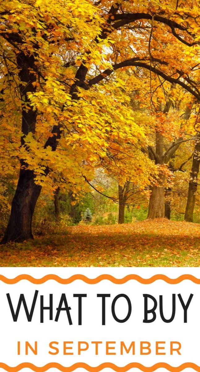 The Best Things To Buy In September